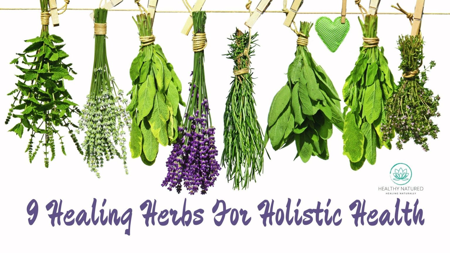 9 Healing Herbs For Your Holistic Health Best Home Remedies