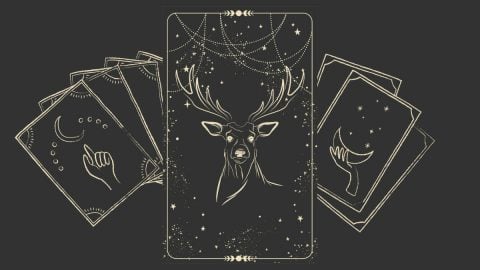 One Card Oracle Spread - Healthy Natured