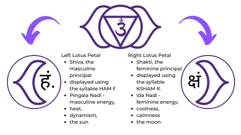 Discover The Third Eye Chakra: 7 Symbolic Spiritual Meanings