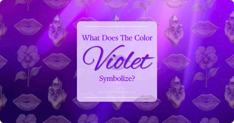 What Is Violet Color Theory? Unlock Its Meaning & Symbolism